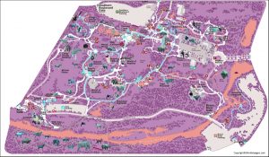 Bronx Zoo Map [Printable Map of Bronx Zoo in PDF]