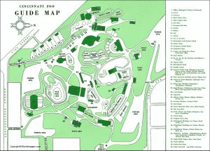 Cincinnati Zoo Map | Cincinnati Zoo Parking Map Pdf